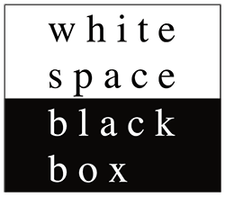 FRIEDERIKE SCHMID - WhiteSpaceBlackBox